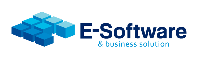 E-Software. Consultoría